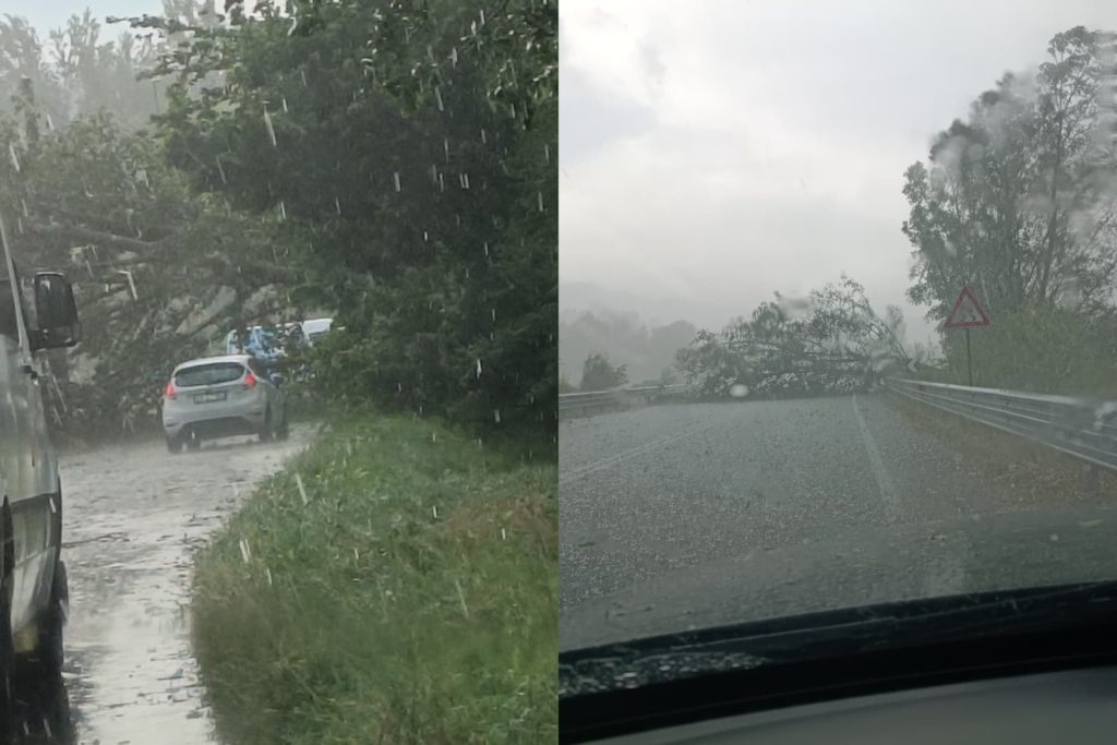 Maltempo nel Reatino, alberi sulla carreggiata: bloccate via Tancia e ...